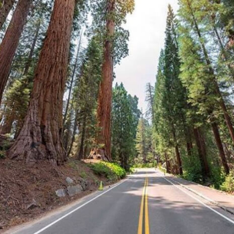 Sequoia Parks Conservancy