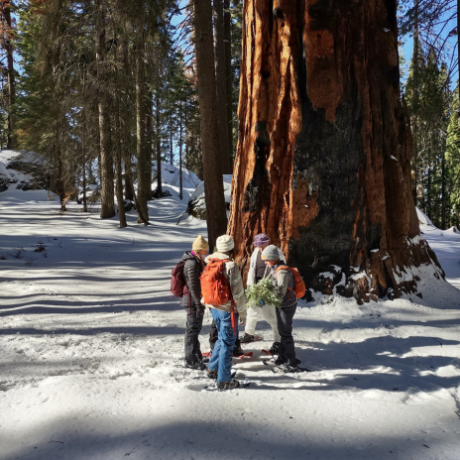 Sequoia Parks Conservancy
