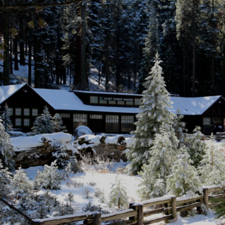 Sequoia Parks Conservancy