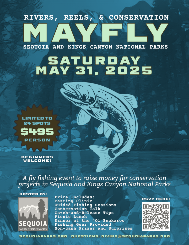 MAYFLY - Sequoia Parks Conservancy